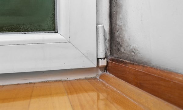 Foundation Jacks: What They Are and How They Work | Xpert Foundation Repair